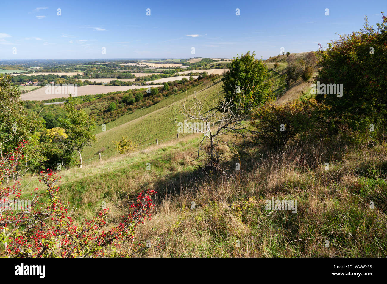 Iron age farms hi-res stock photography and images - Alamy