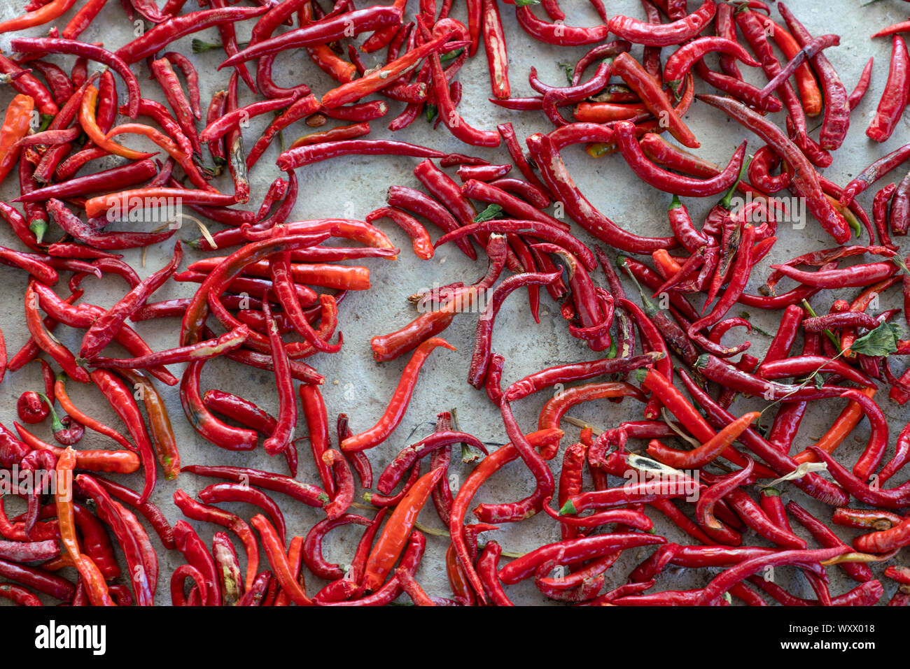 Long red pepper hi-res stock photography and images - Alamy