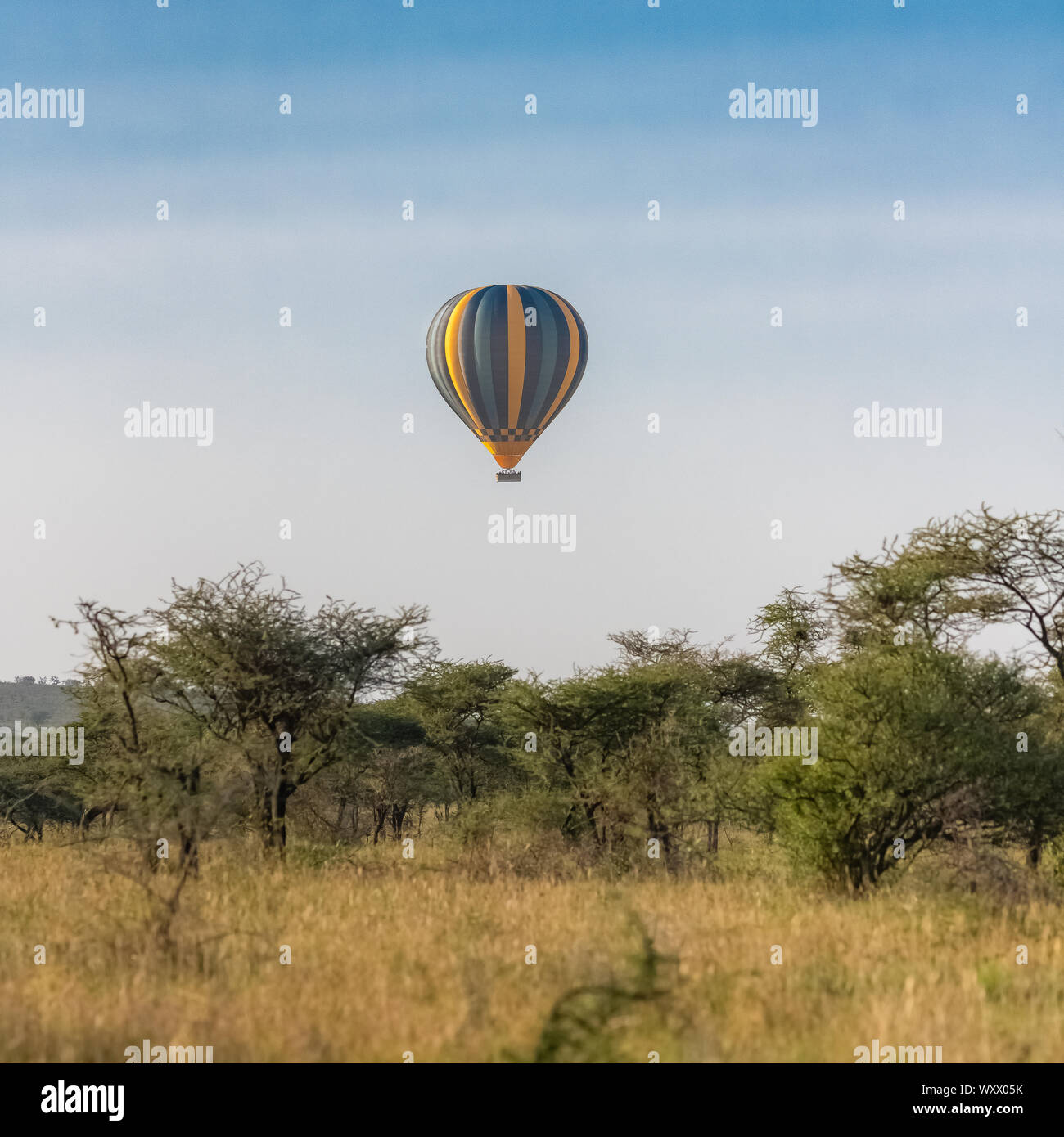 Air balloon above the savannah in the Serengeti reserve in Tanzania at ...