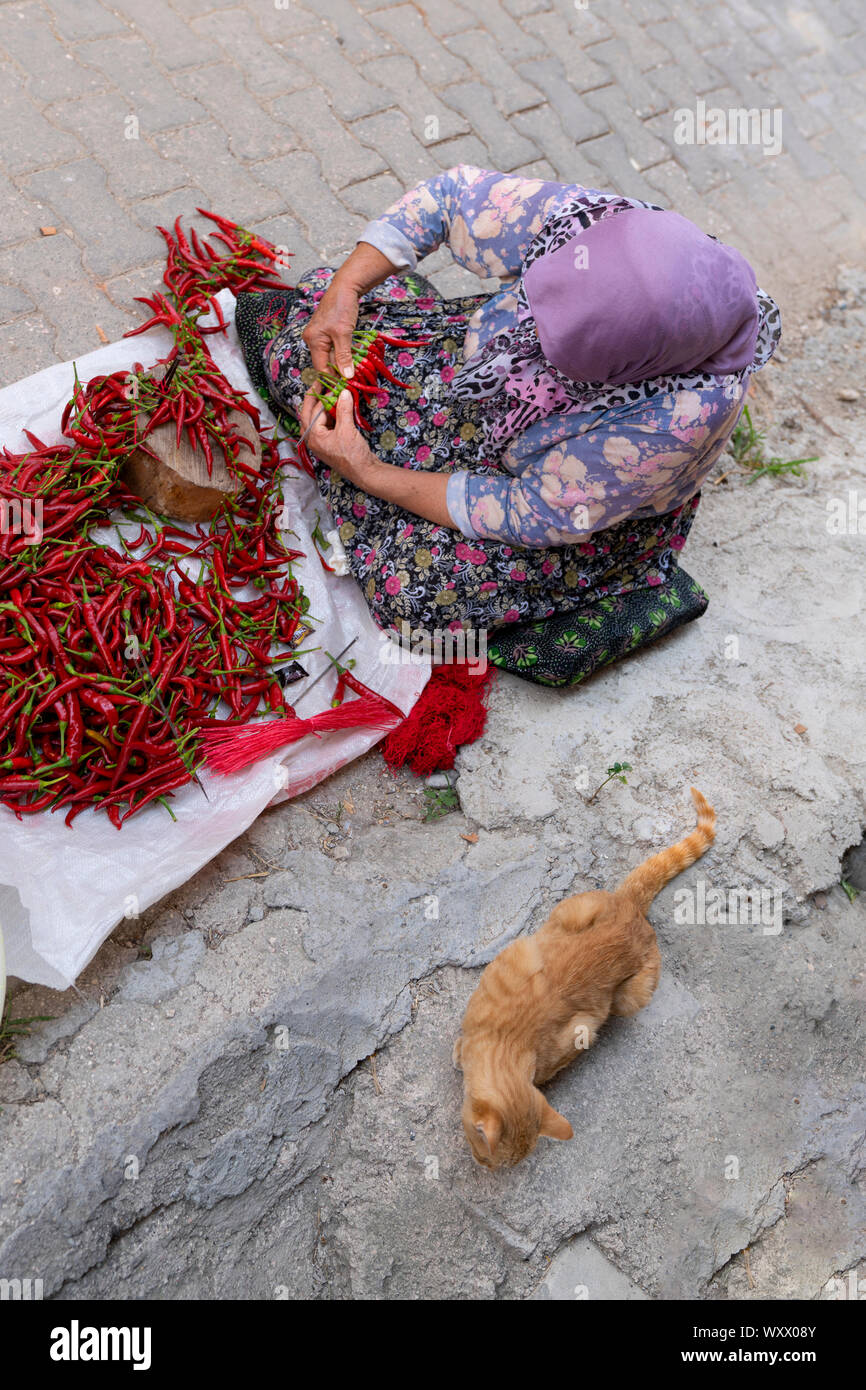 Top view of an old woman array and arrange long red pepper to hang and ...