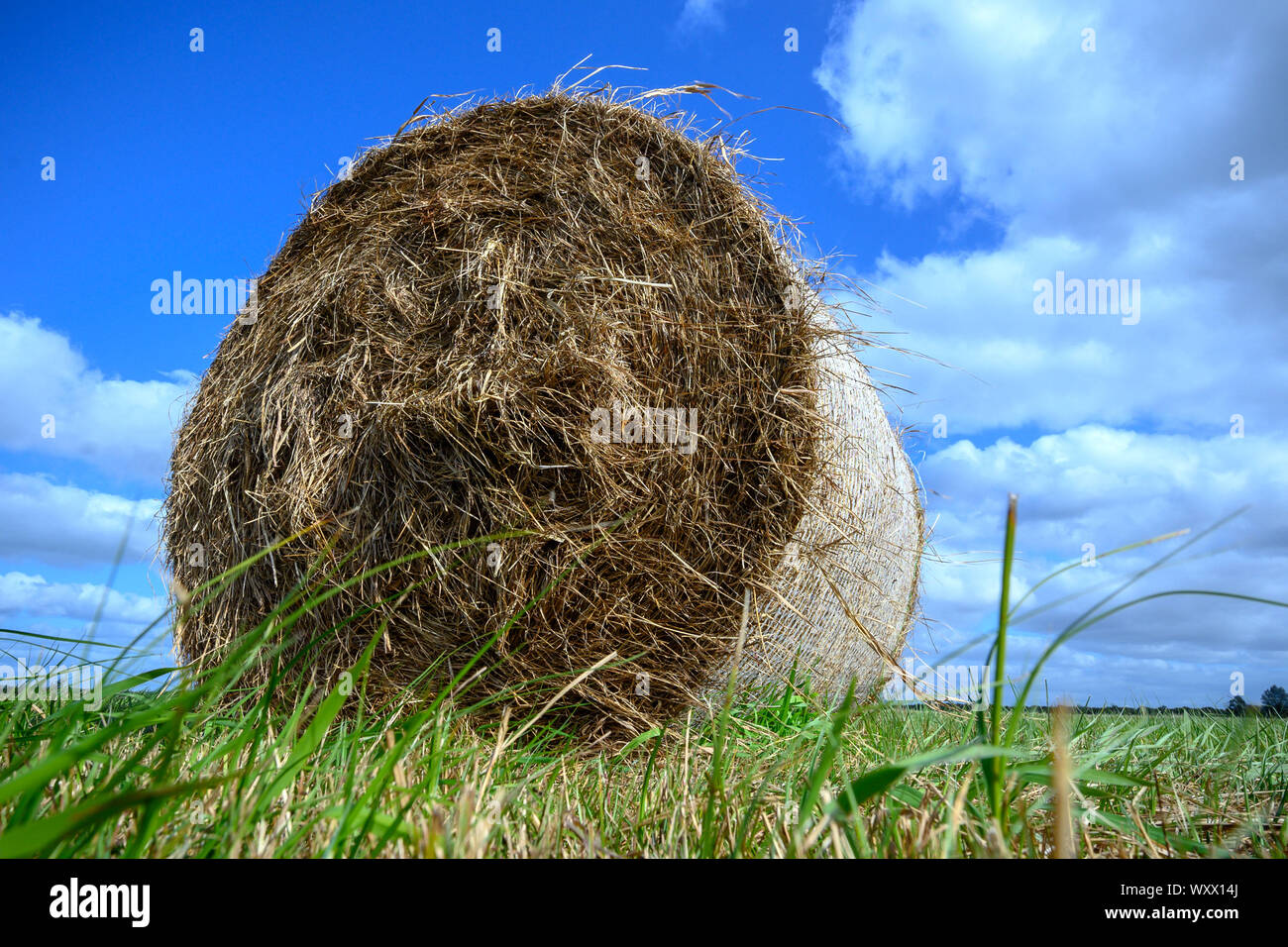 Marsh office hi-res stock photography and images - Alamy