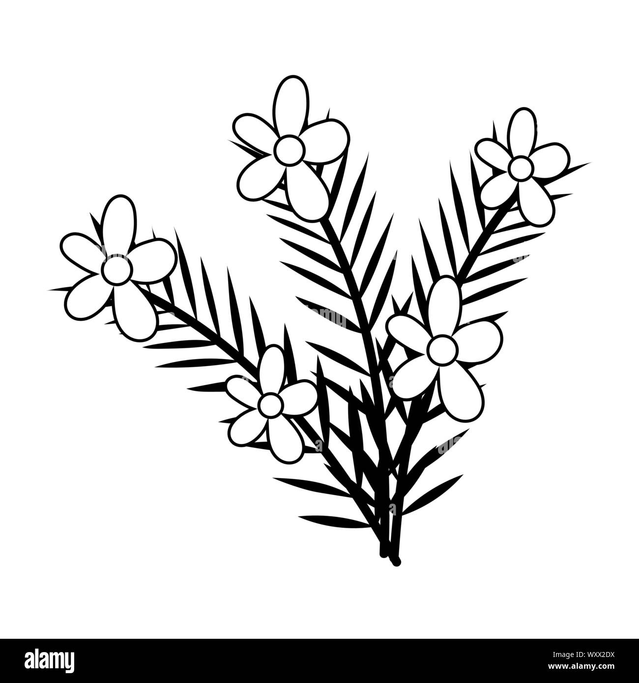 Flowers design, floral nature plant ornament garden decoration and ...