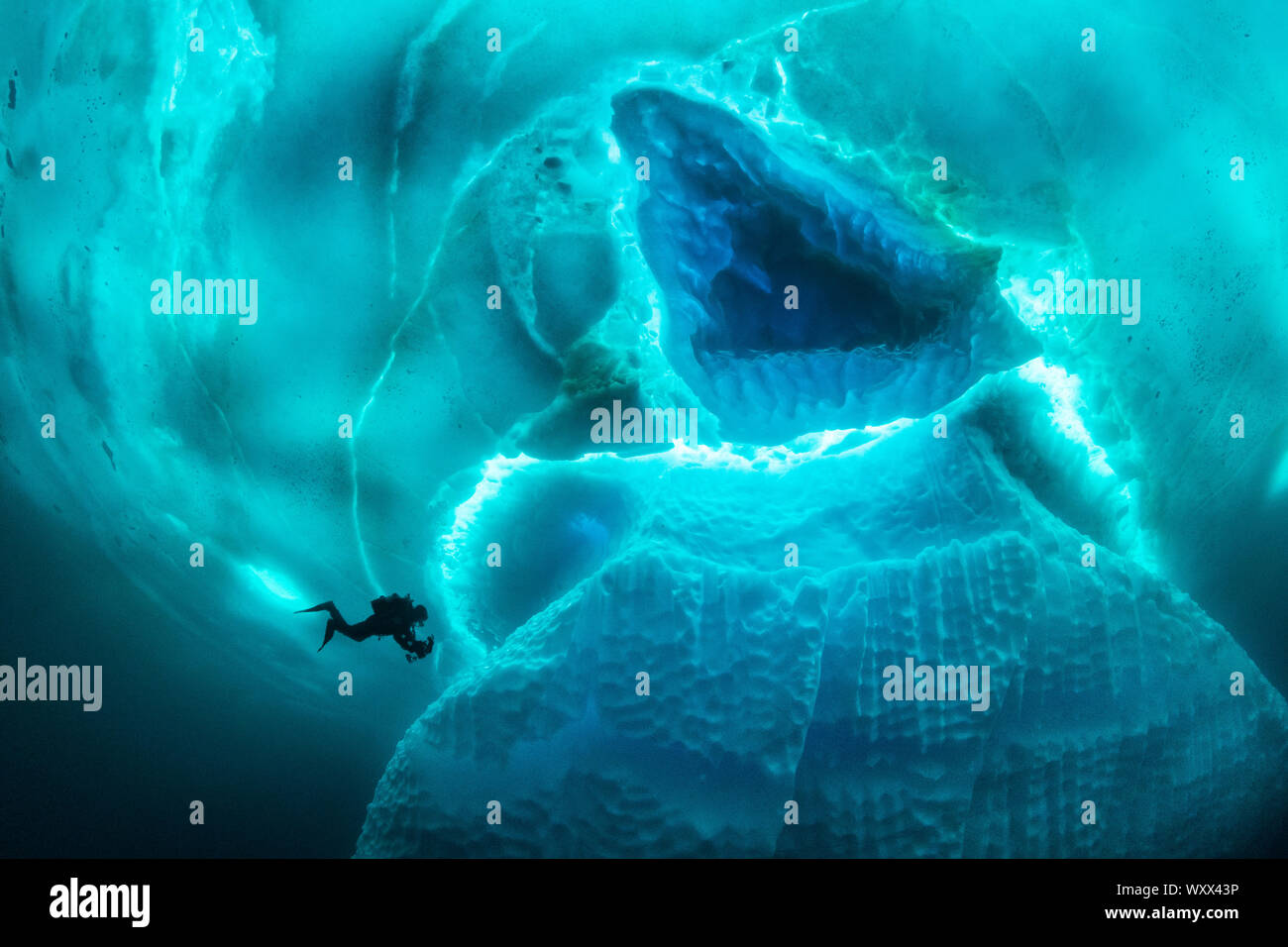 Only in springtime, when the hard winter slowly subsides, are the ice ...