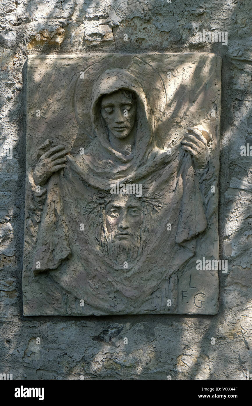 Veil of veronica hi-res stock photography and images - Alamy