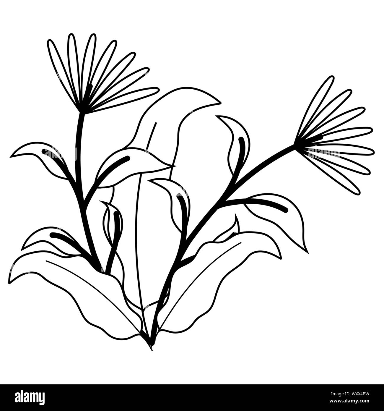 Flowers design, floral nature plant ornament garden decoration and ...