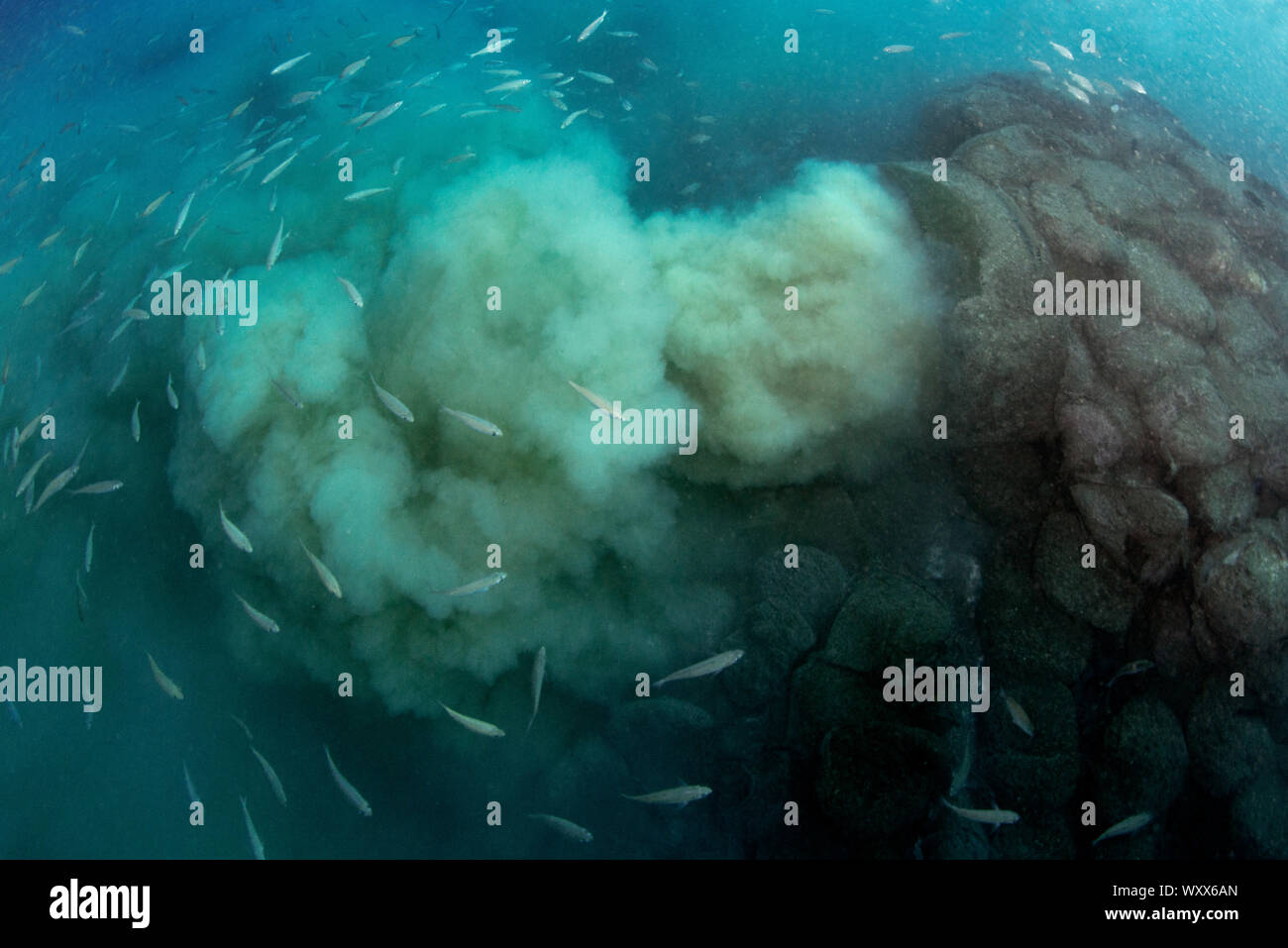 Submarine emissary. In spite of the visual impact that it entails and ...