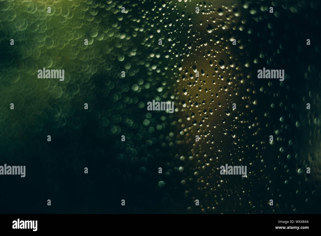 Water drops at gradient background, covered with water drops - close ...