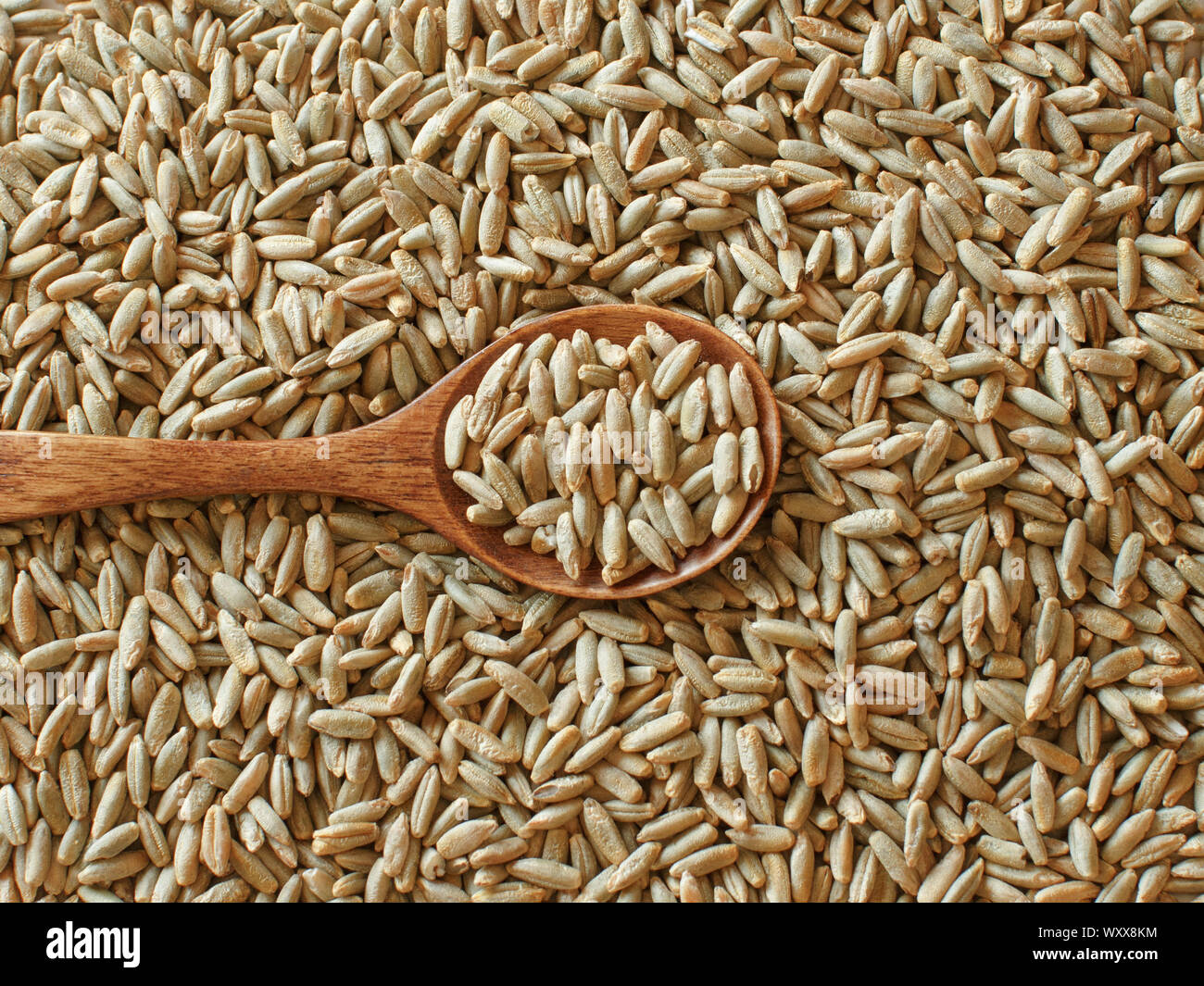 Dry Raw Rye Grain with a spoon top view Stock Photo - Alamy