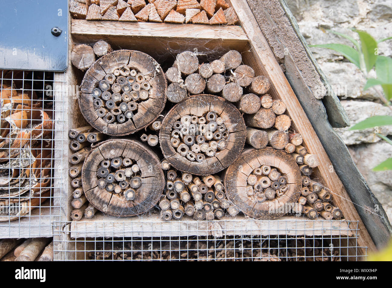 Habitat for overwintering insects hi-res stock photography and images ...