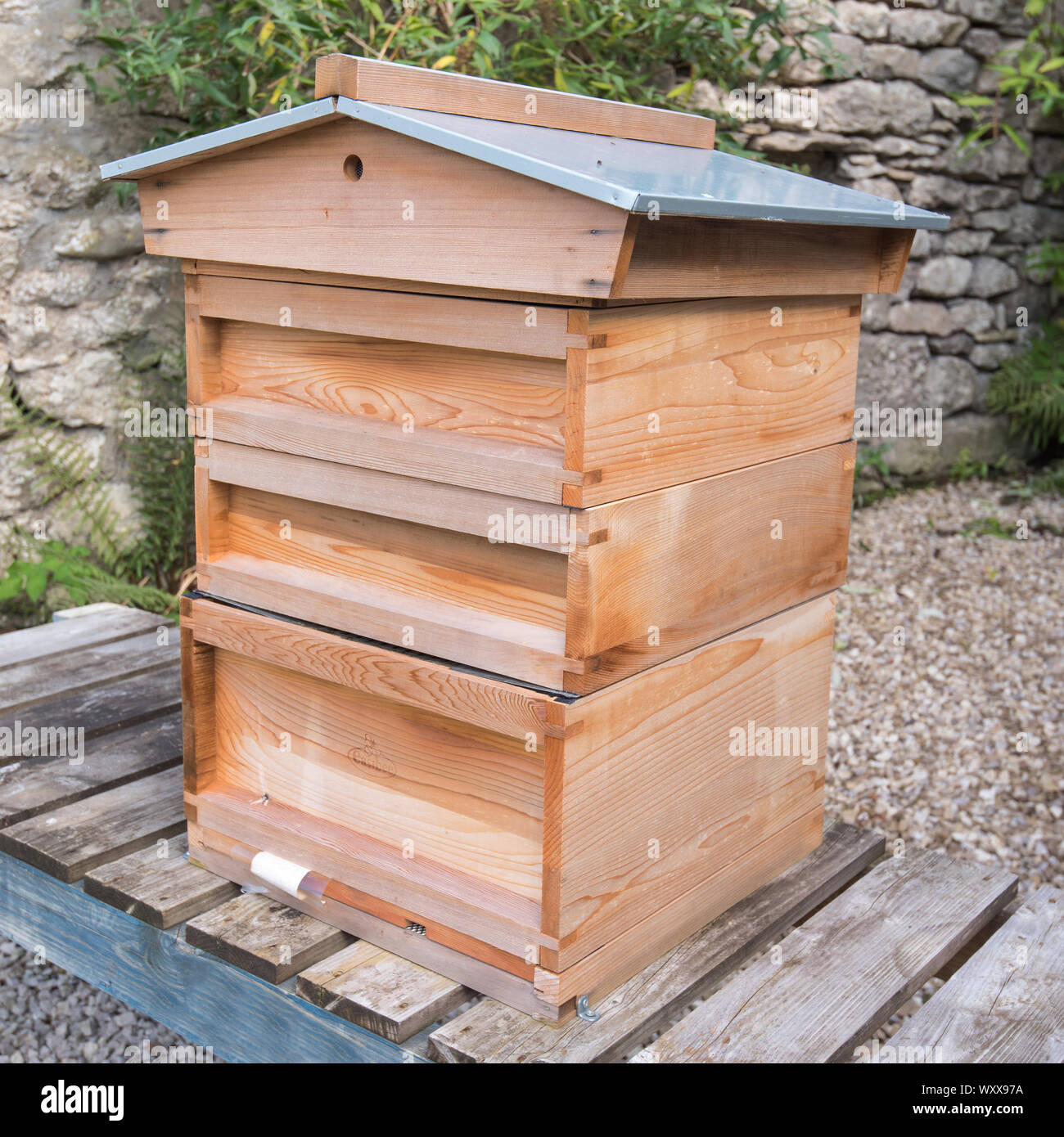 Bee rearing hi-res stock photography and images - Alamy