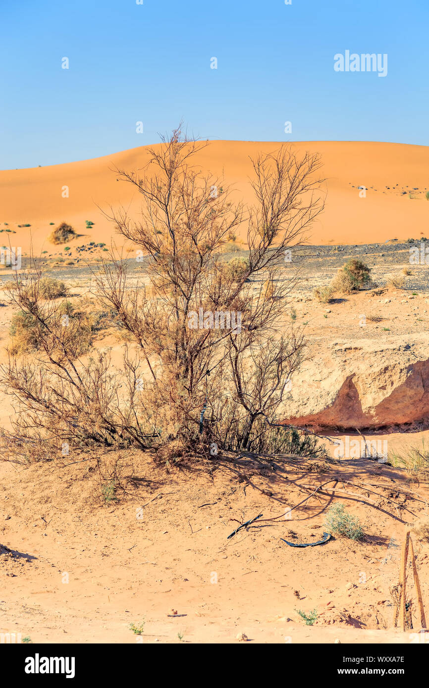 Beautiful Moroccan Mountain landscape with dry shrubs in foreground ...