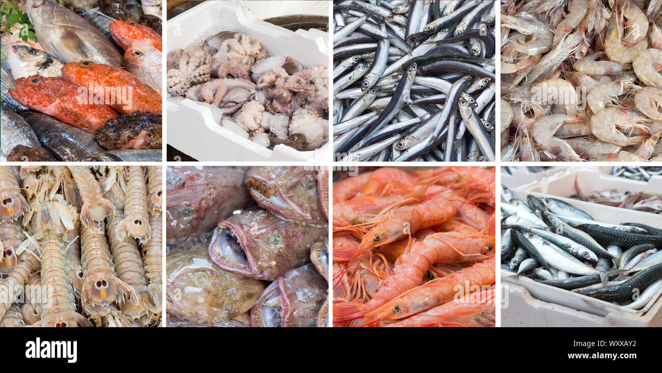 Collage of various fish and seafood displayed on a fish market Stock ...