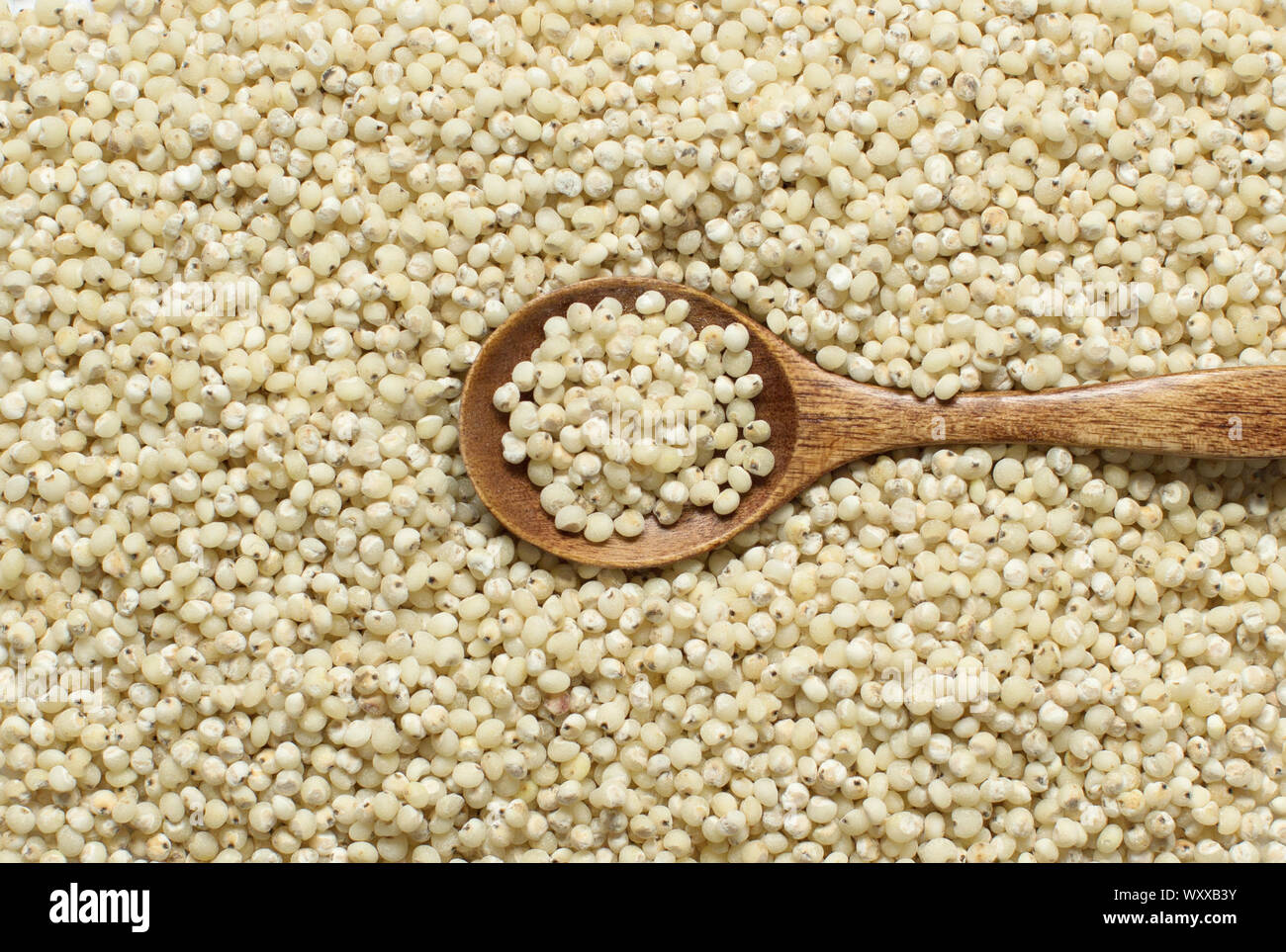 White Sorghum grain with a spoon close up Stock Photo - Alamy