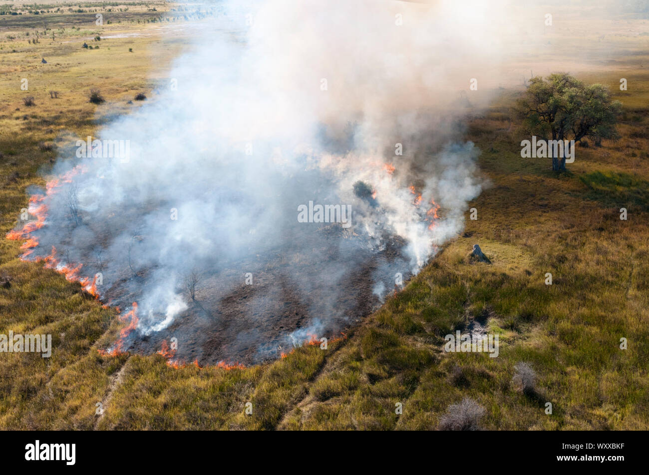 Botswana gas hi-res stock photography and images - Alamy