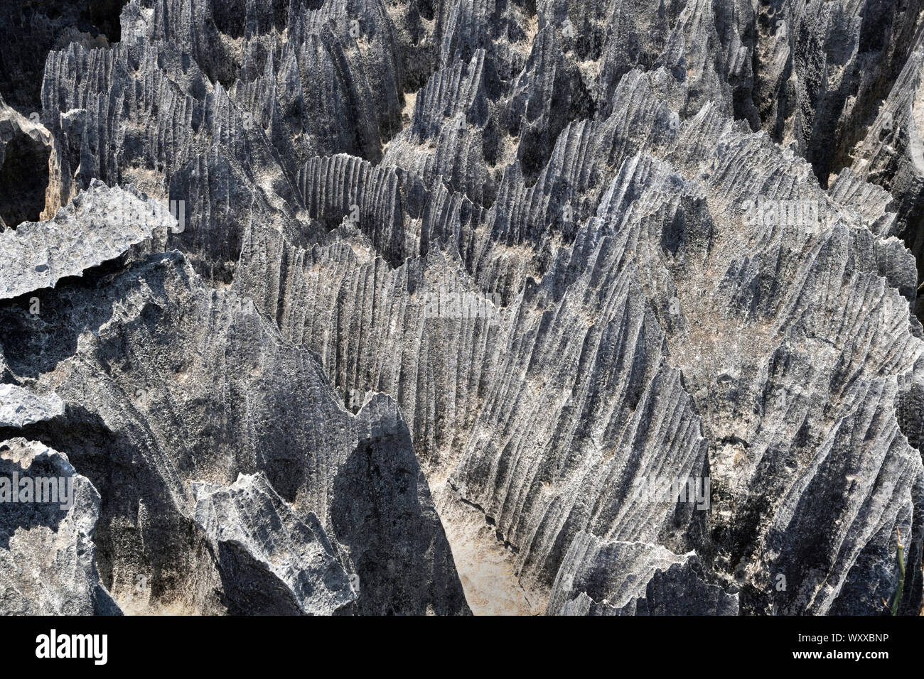 Landscape of tropical karstic phenomena in the Tsingy national park of ...