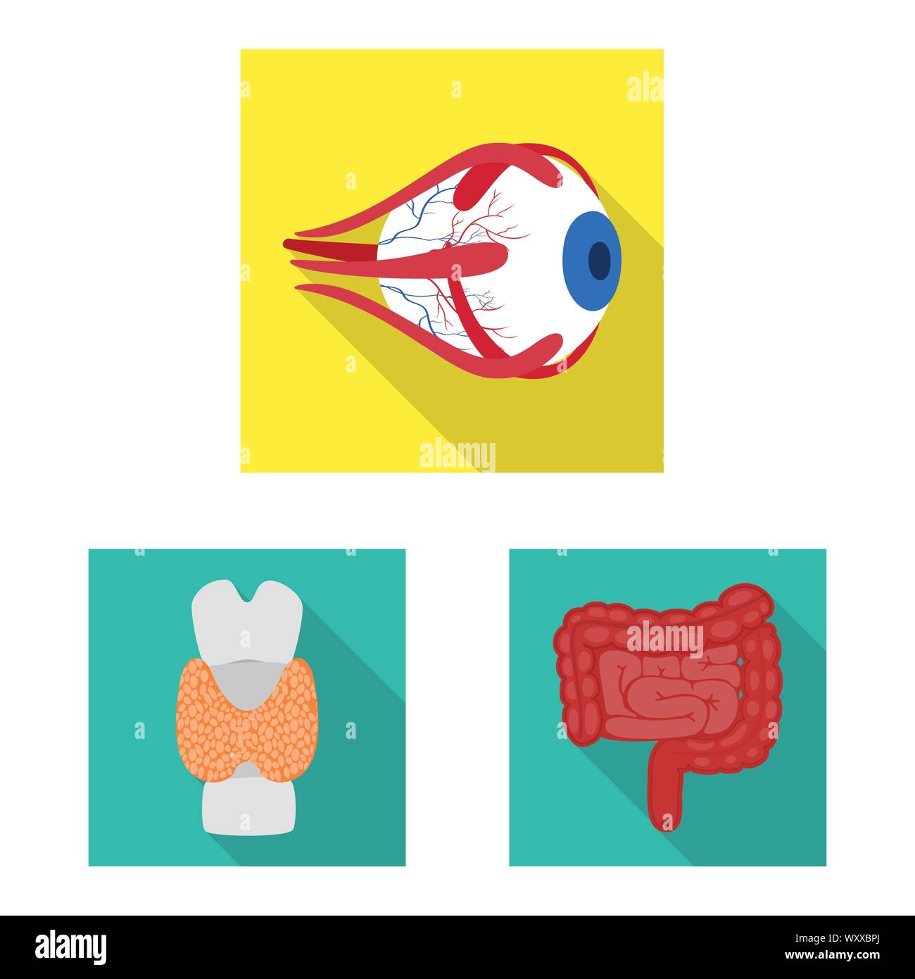 Vector Vectors Stock Vector Image & Art - Alamy