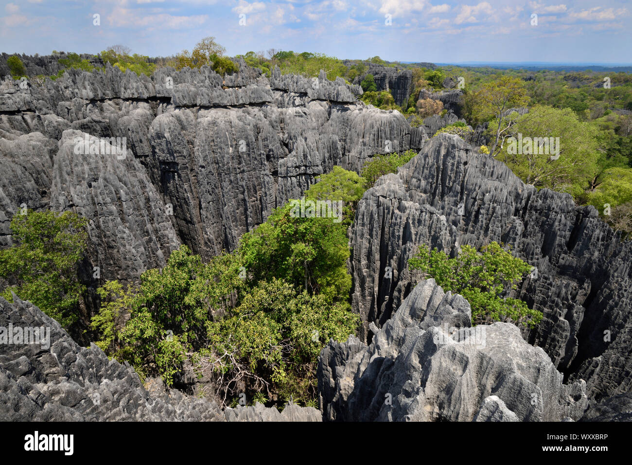 Landscape of tropical karstic phenomena in the Tsingy national park of ...