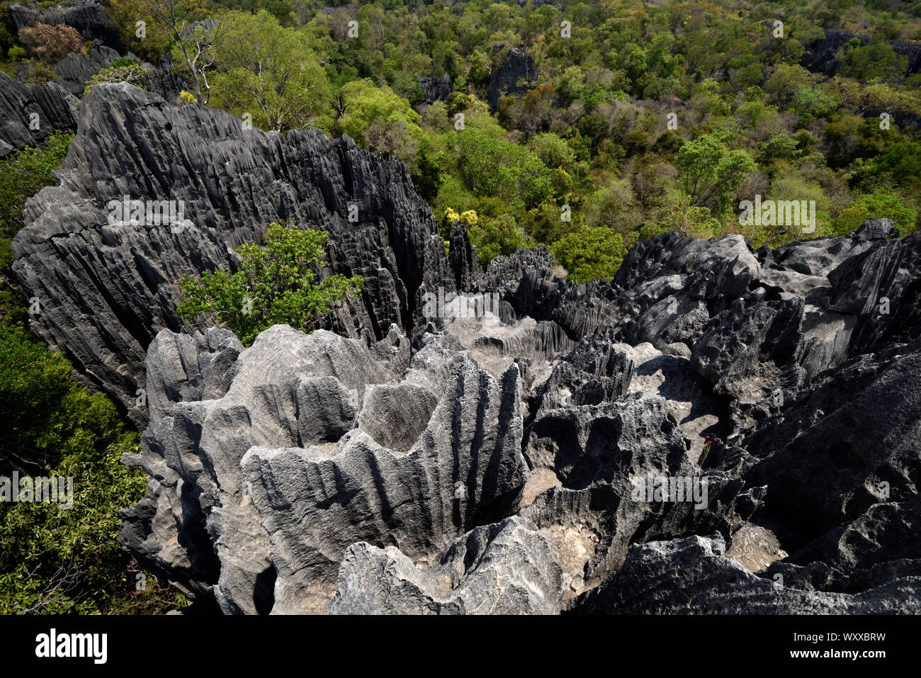 Landscape of tropical karstic phenomena in the Tsingy national park of ...