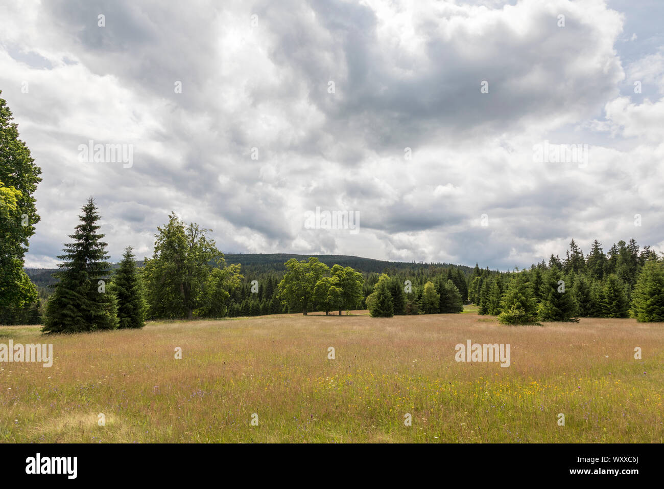 Boehmerwald national park hi-res stock photography and images - Alamy