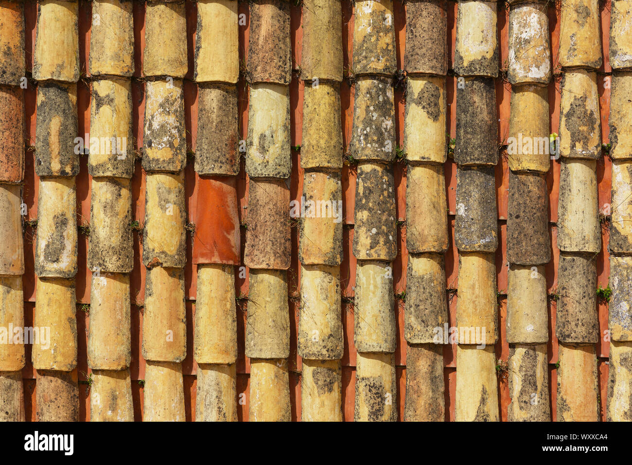 Ceramic roof tile hi-res stock photography and images - Alamy