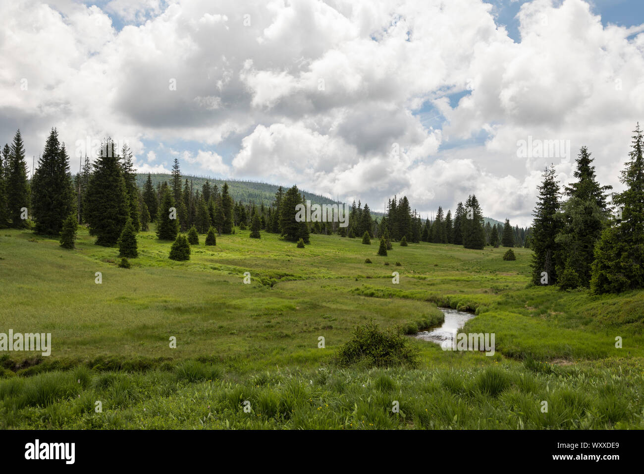 Landschaft im Boehmerwald Stock Photo - Alamy