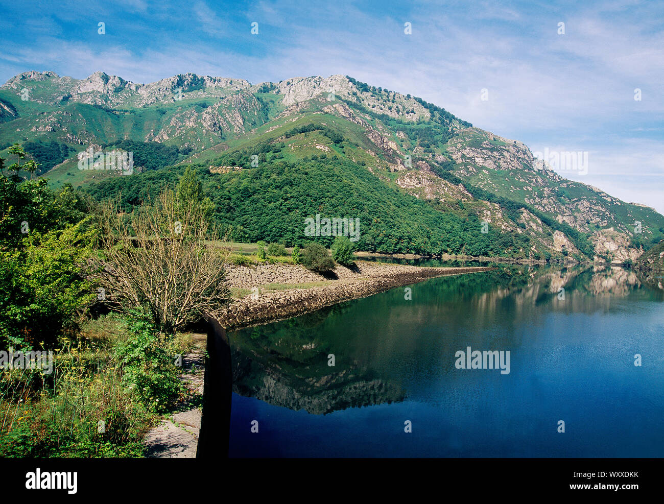 Redes naturales hi-res stock photography and images - Alamy