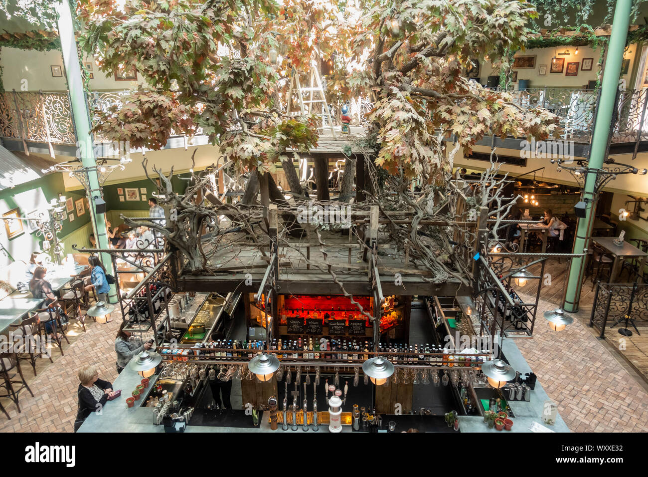 The Botanist bar in Newcastle city centre, Newcastle upon Tyne, England ...