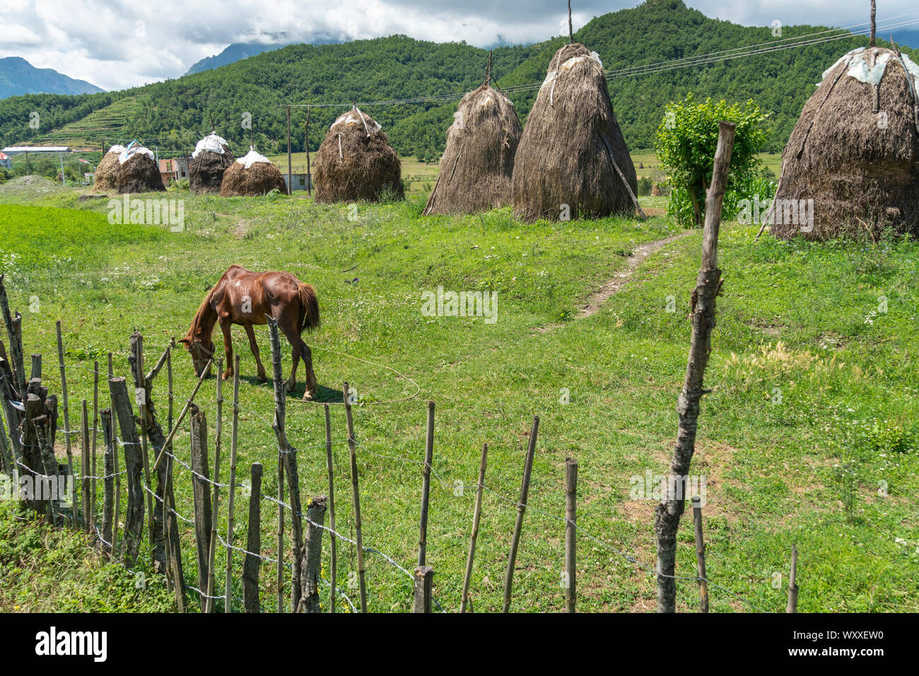 Field landscape haystacks in traditional hi-res stock photography and ...