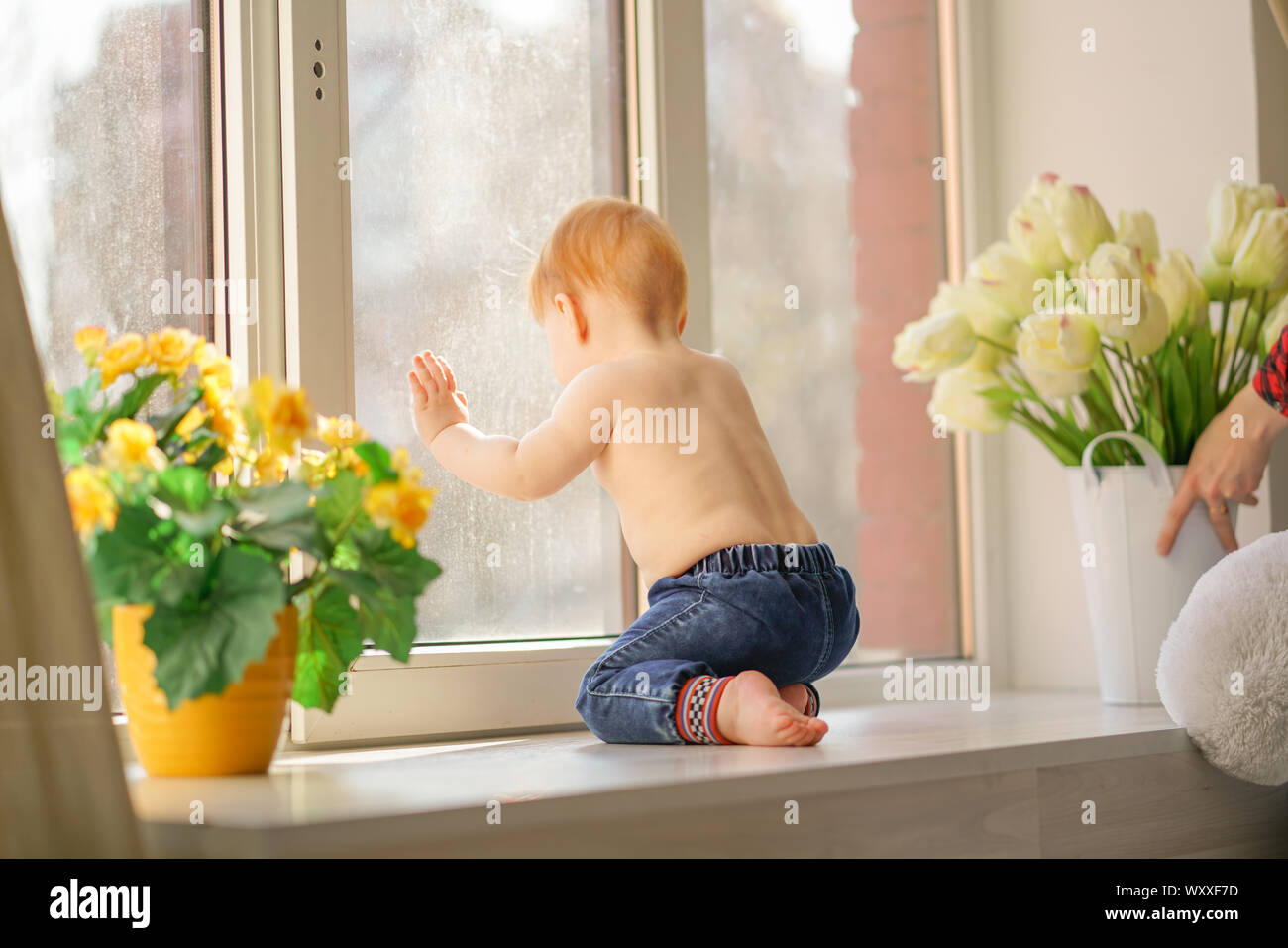 a little boy looks in the window. a dangerous situation when a small ...