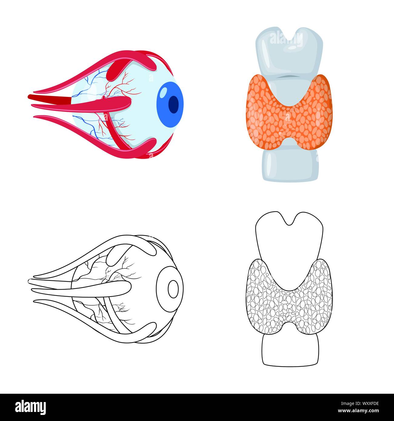 Vector Vectors Stock Vector Image & Art - Alamy