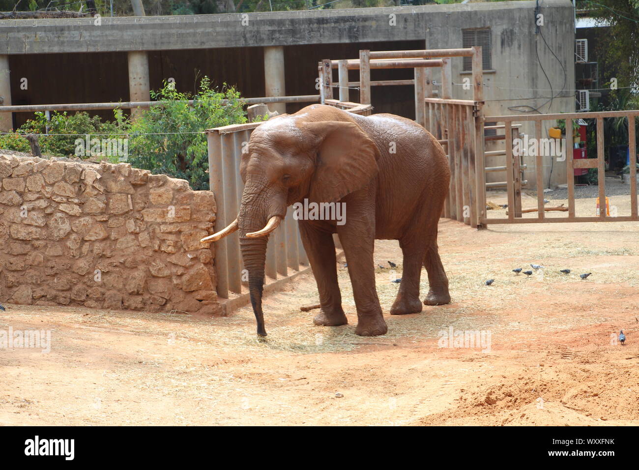 Arge outdoor zoo hi-res stock photography and images - Alamy