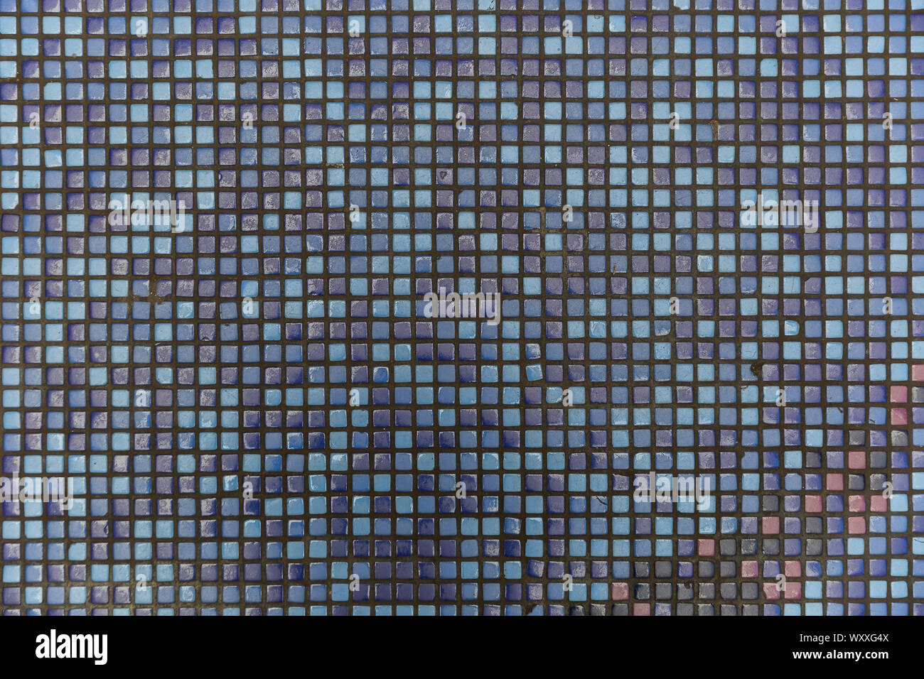 Texture of color small mosaic tiles Stock Photo - Alamy