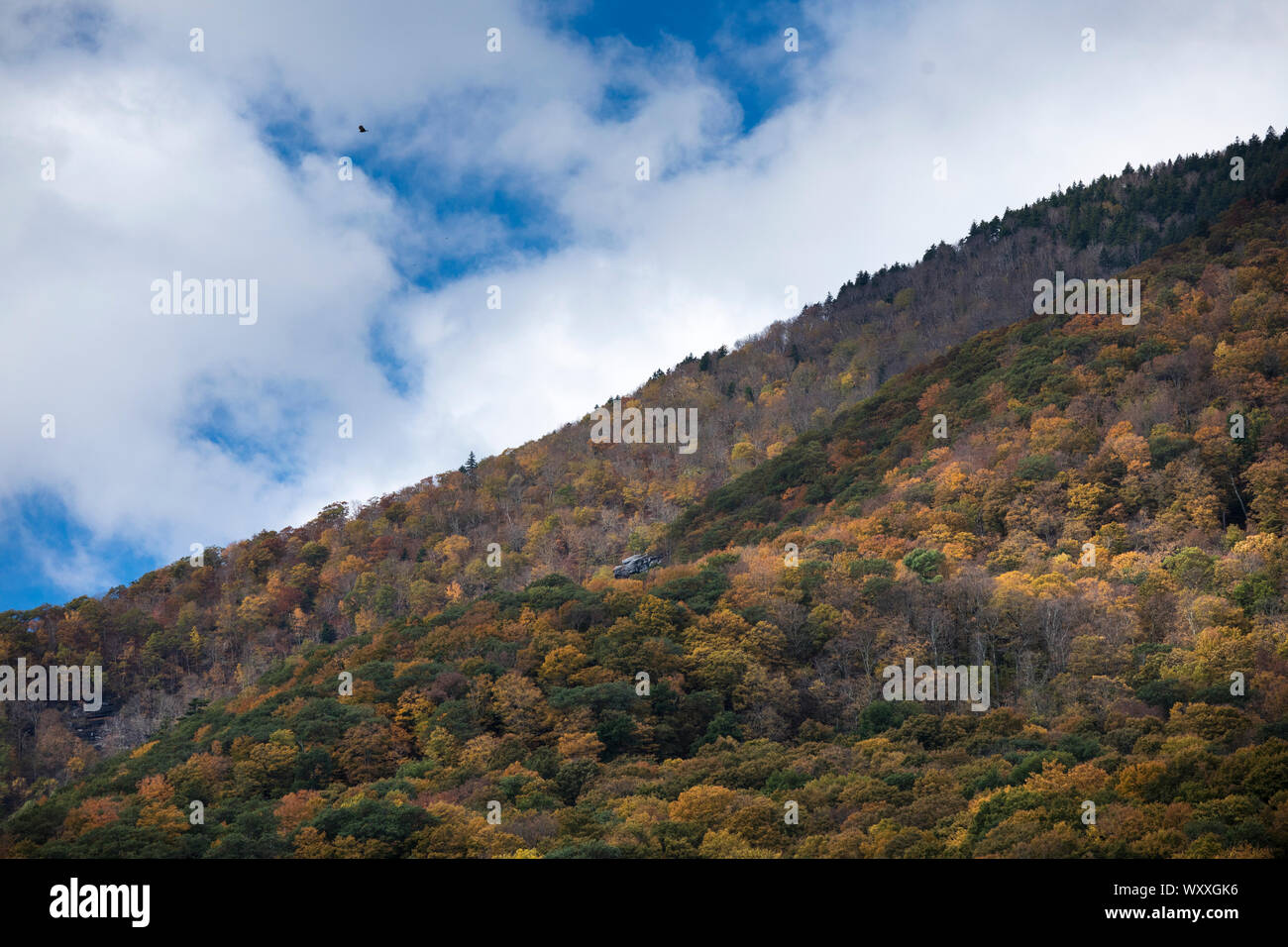 The Fall colours of Aspen and Maple trees at picturesque and ...