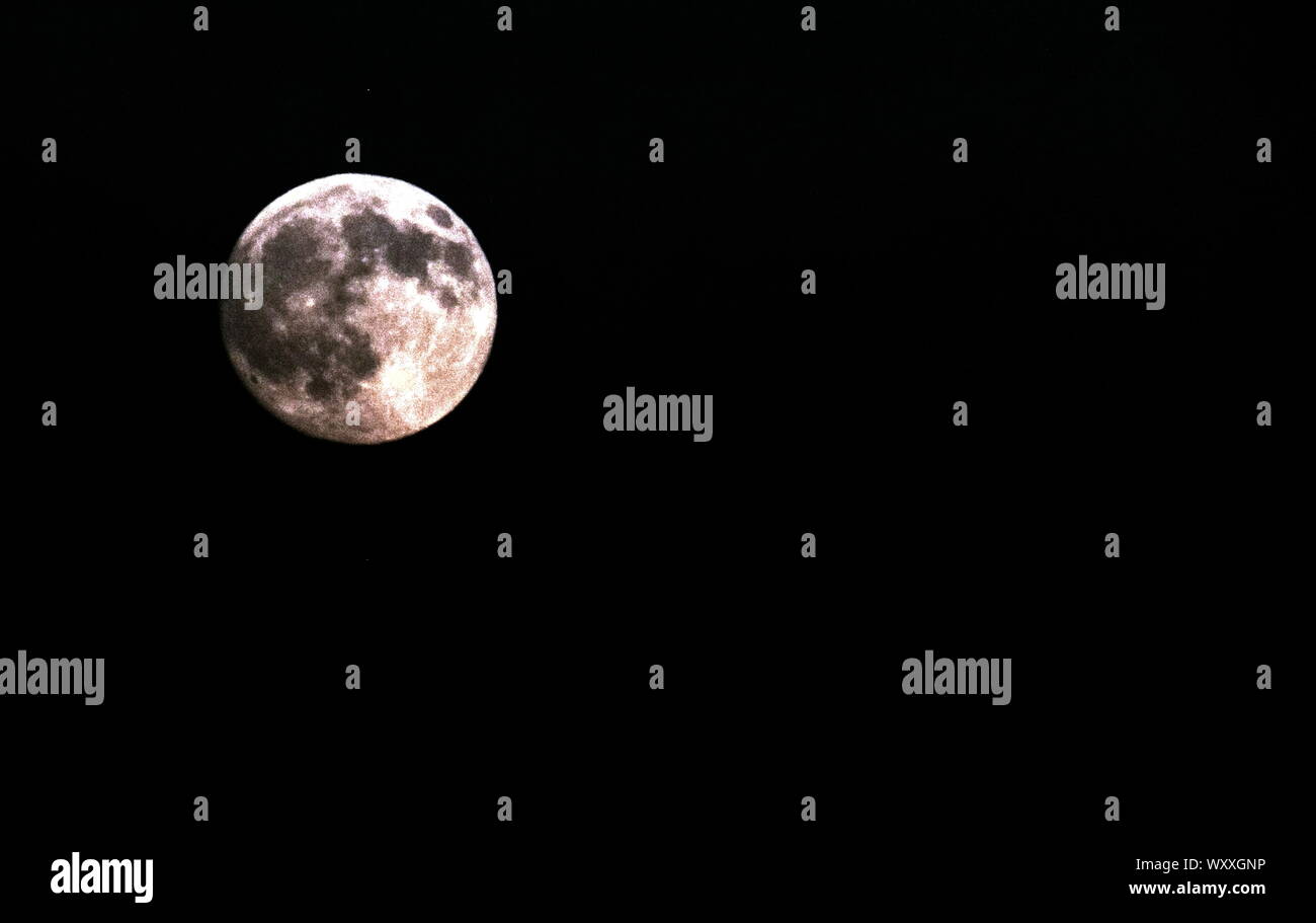 Macro sea hi-res stock photography and images - Alamy