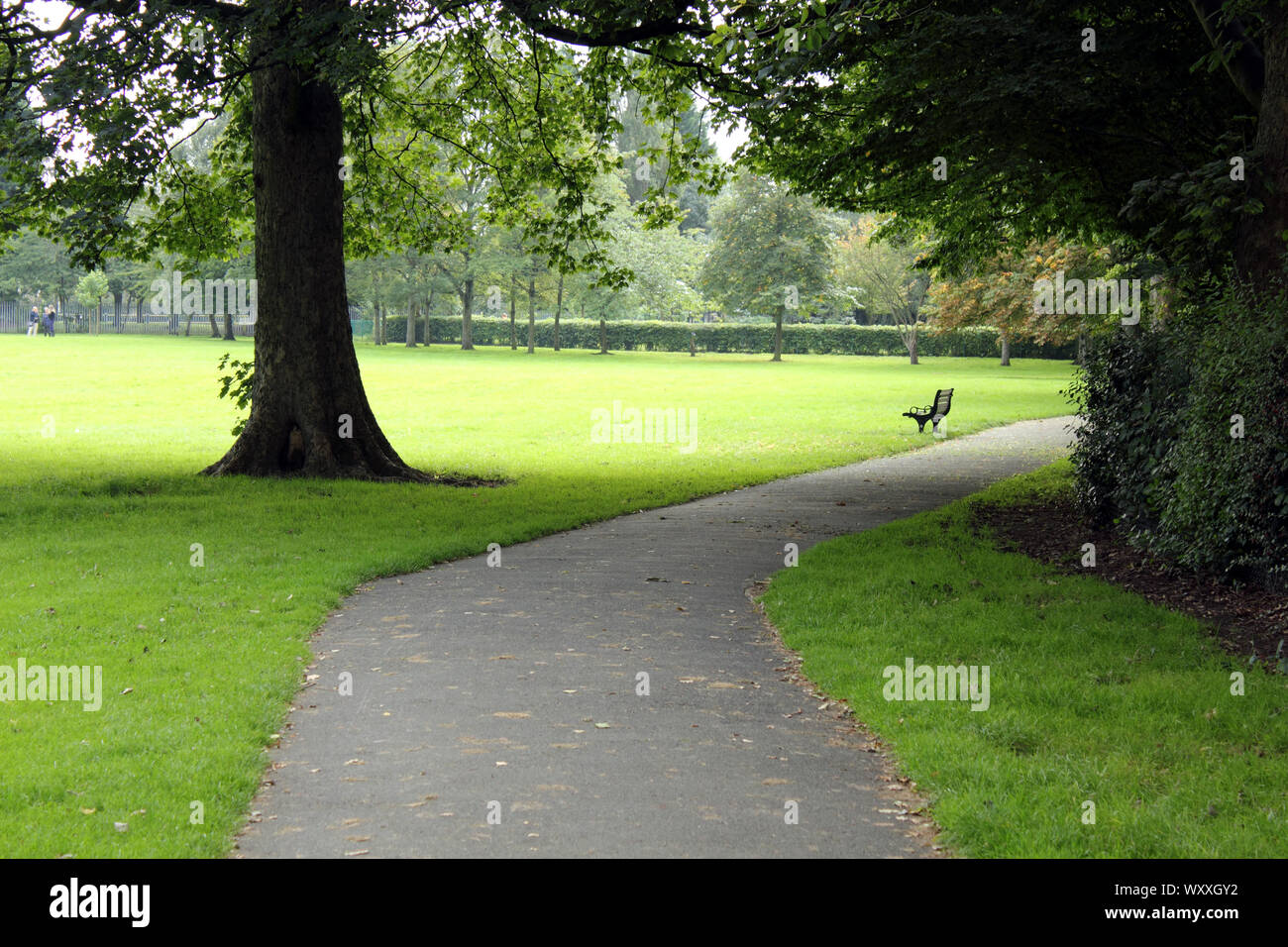 View of path leading to park bench with trees and grass Stock Photo - Alamy