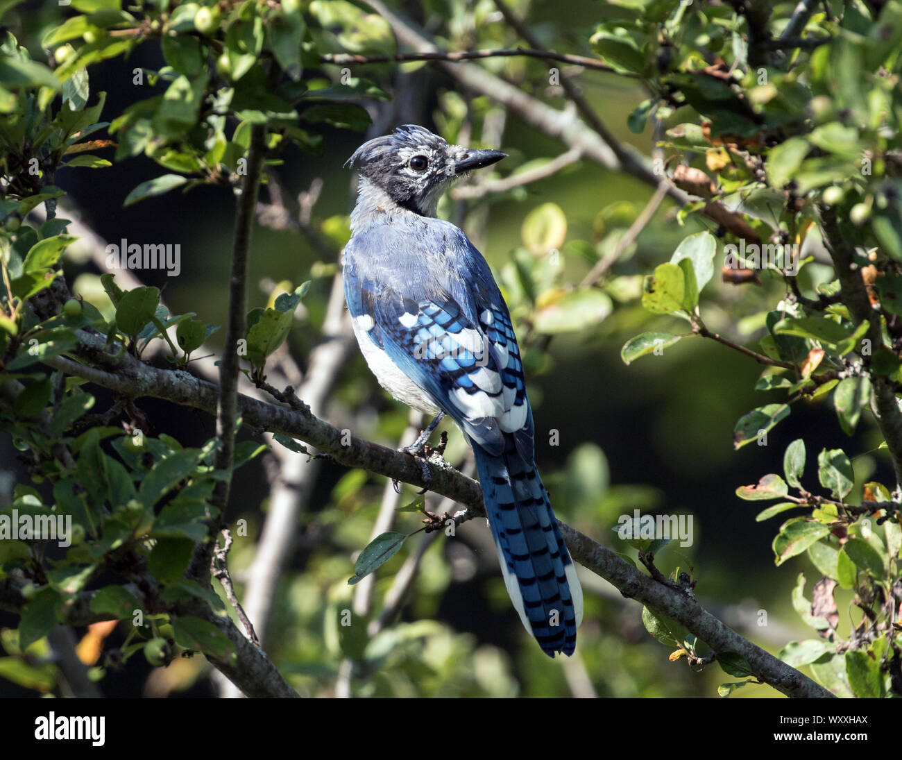 Presqu'ile park canada hi-res stock photography and images - Alamy