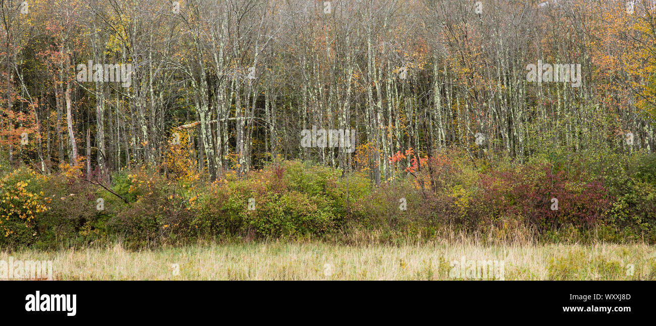 Fall line america hi-res stock photography and images - Alamy