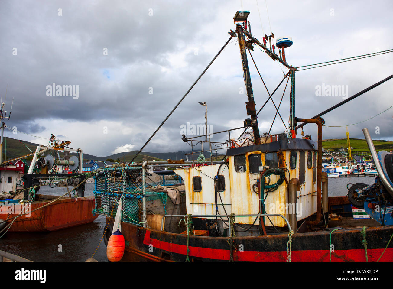 Irish eez hi-res stock photography and images - Alamy