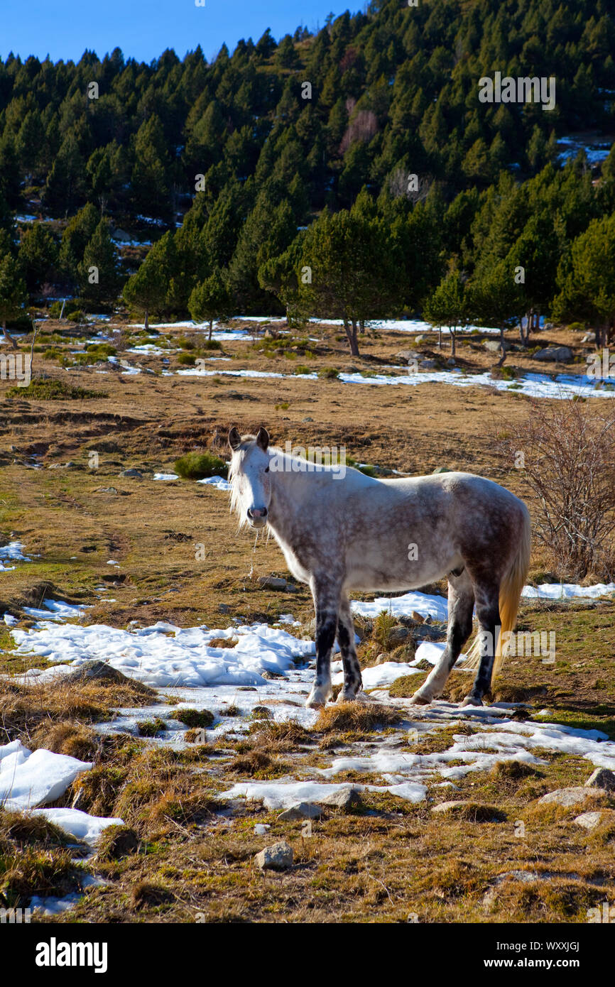 Roussillon col de mantet hi-res stock photography and images - Alamy
