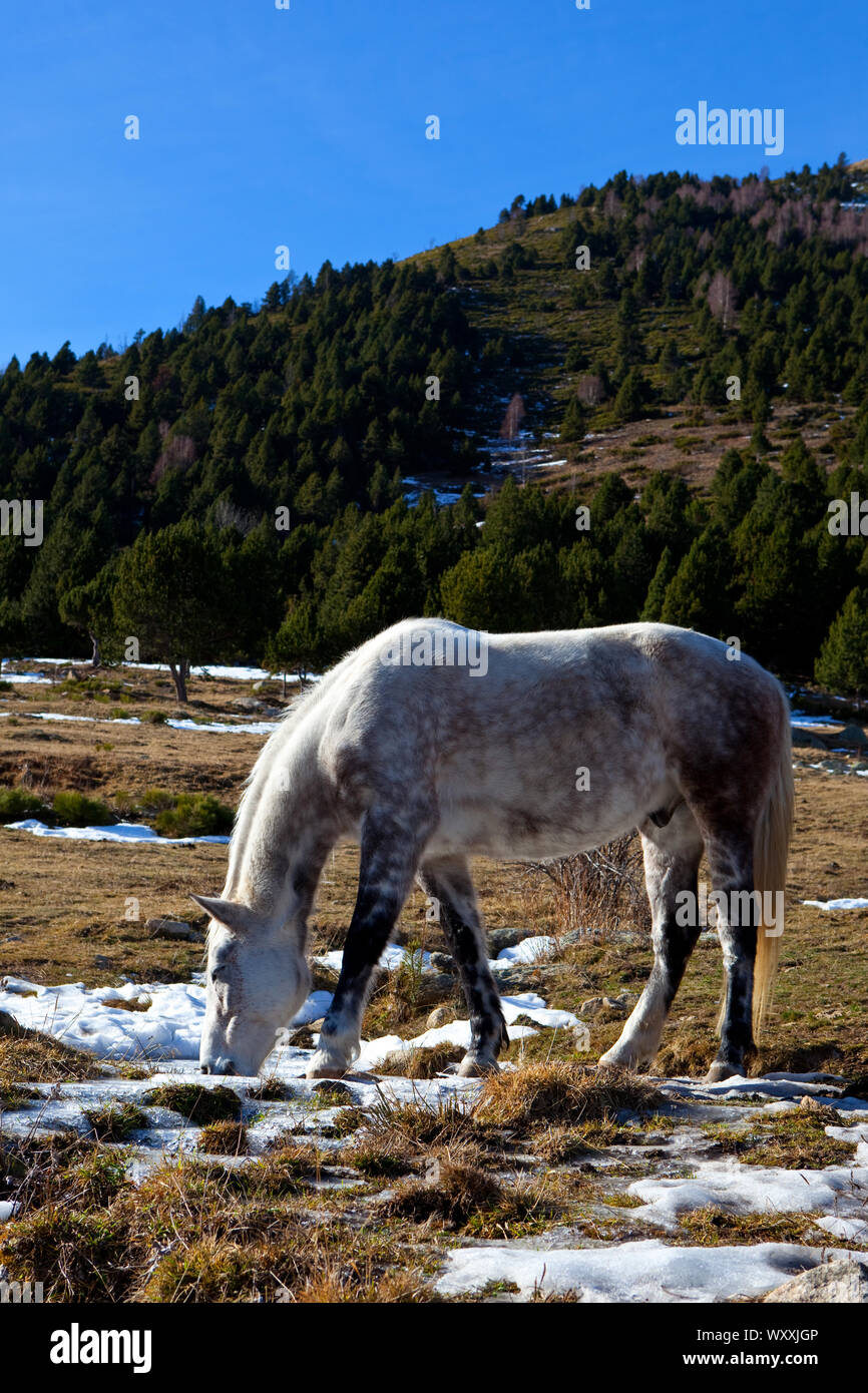 Roussillon col de mantet hi-res stock photography and images - Alamy