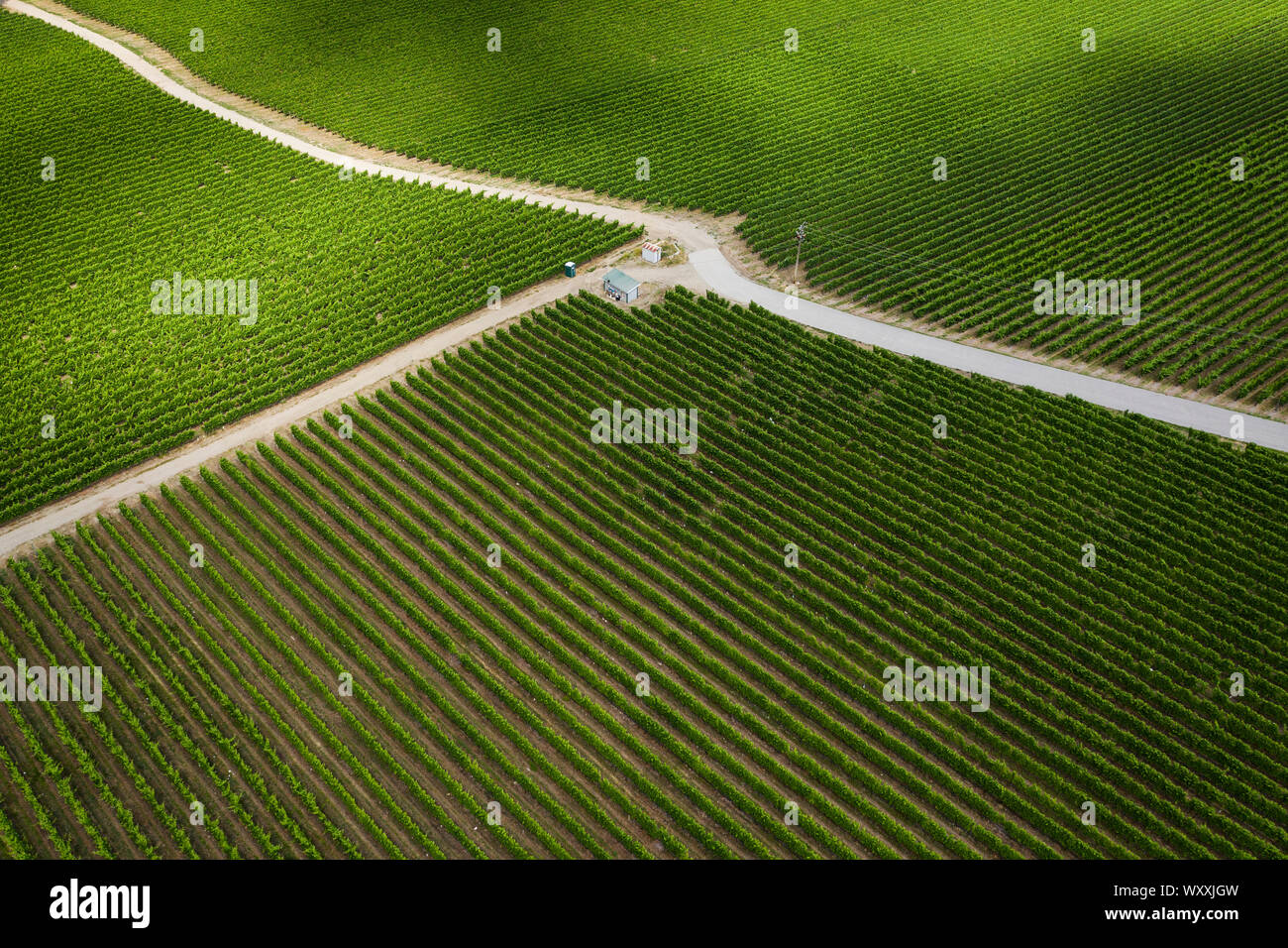 Aerial view of vineyard hi-res stock photography and images - Alamy
