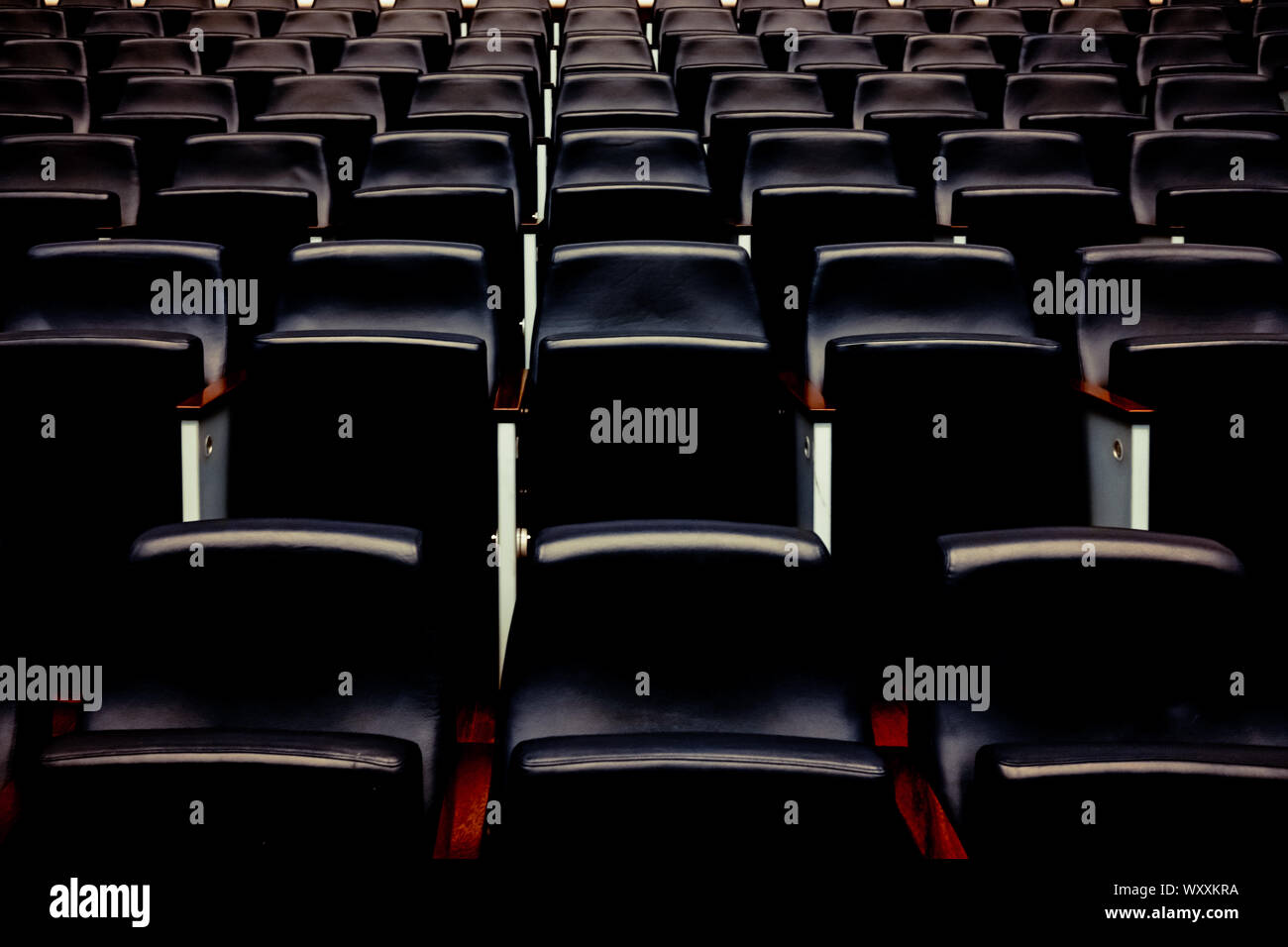 Rows of empty seats and seats in an auditorium Stock Photo - Alamy