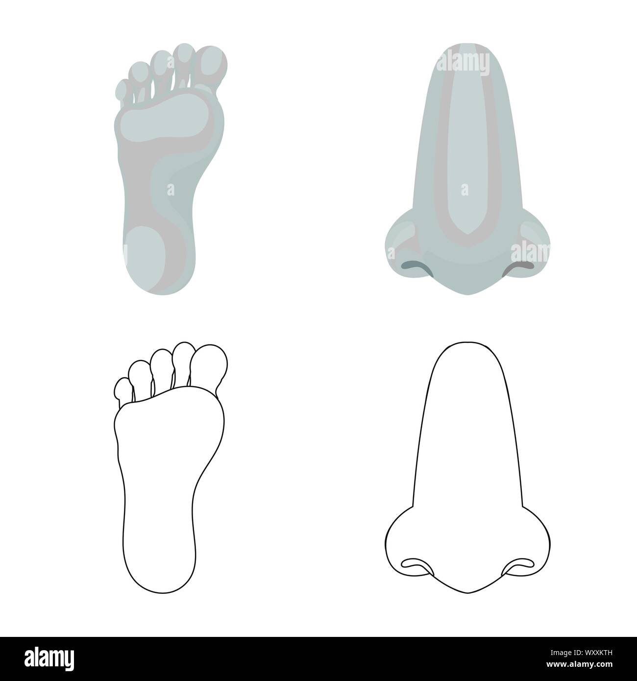Isolated object of body and part icon. Set of body and anatomy stock ...