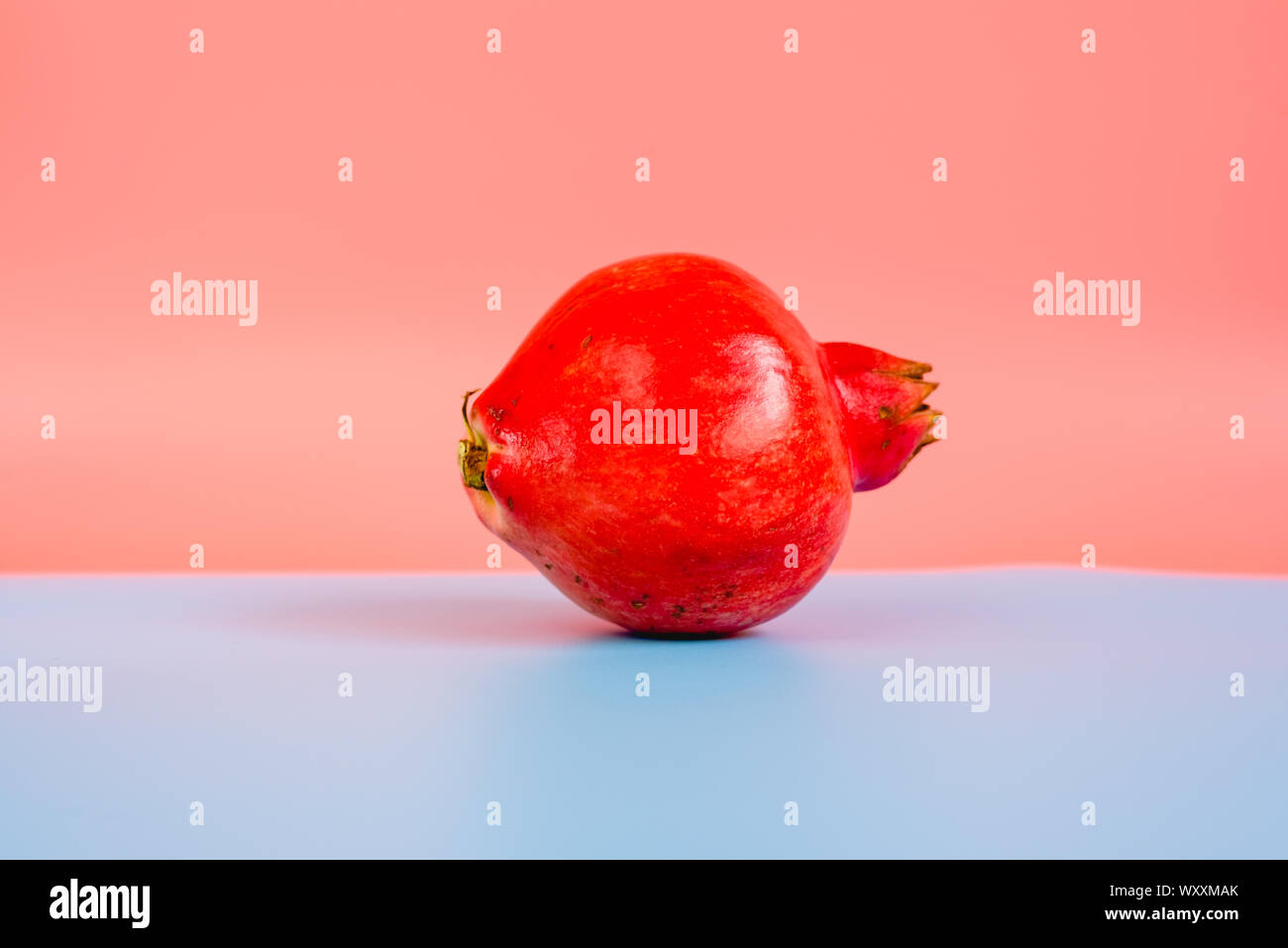 Granada rojisima madura aislada en fondo de color rosa y azul Stock ...