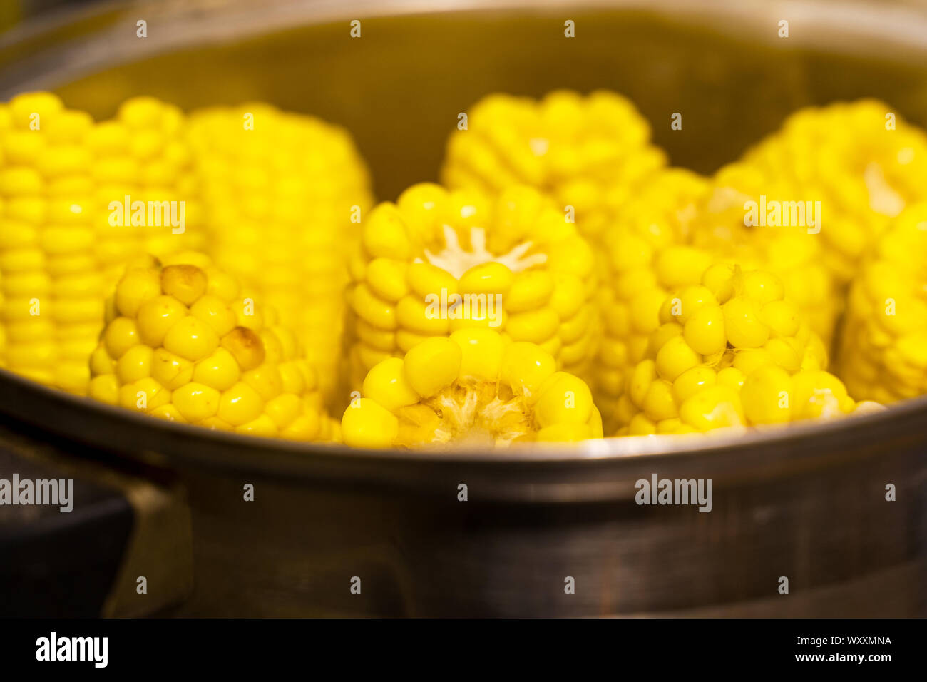 Yellow corn boiled in pot hi-res stock photography and images - Alamy