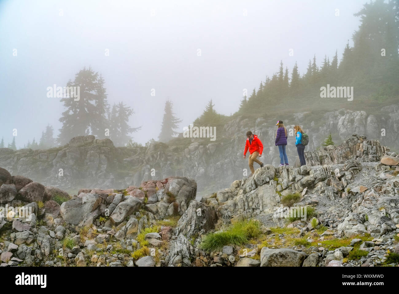 Artist Point, Mount Baker, Washington, USA Stock Photo - Alamy