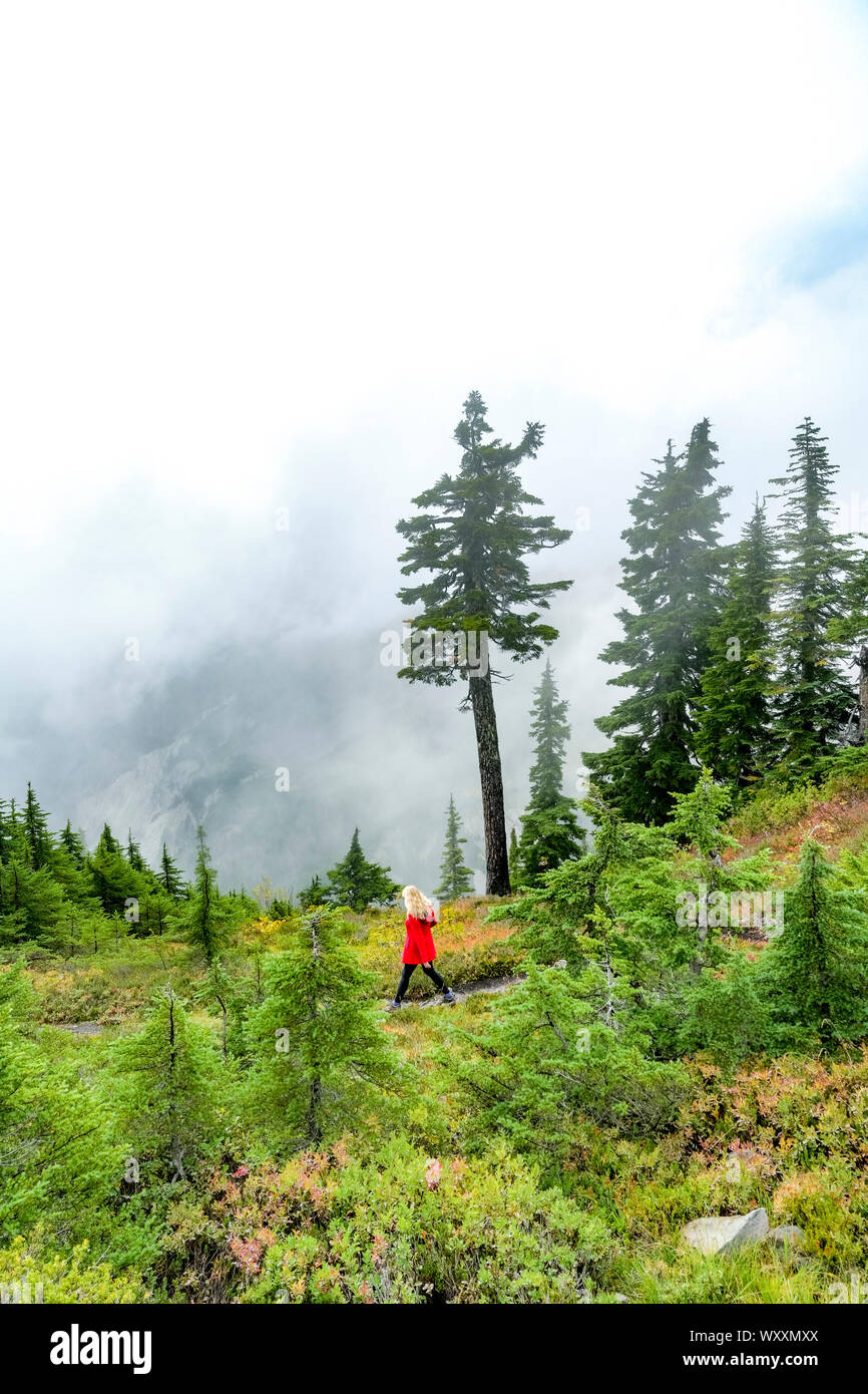 Artist point mount baker hi-res stock photography and images - Alamy