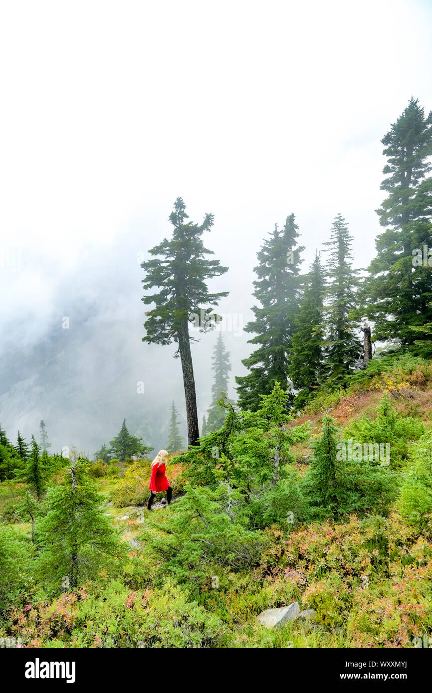 Artist point hi-res stock photography and images - Alamy