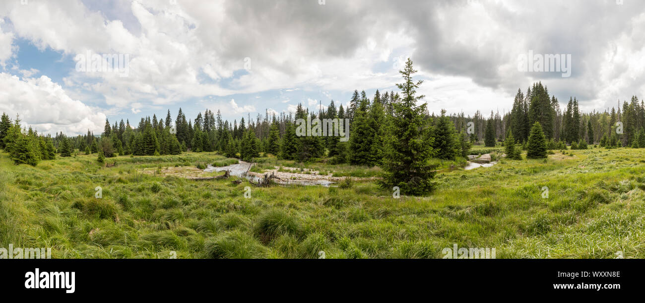 Landschaft im Boehmerwald Stock Photo - Alamy