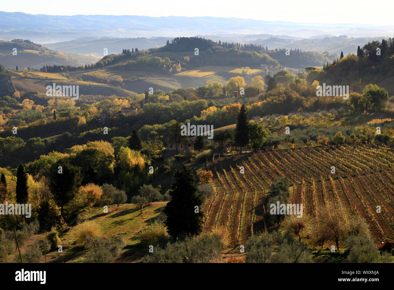 Light on the Tuscan countryside, seen from a terrace in San Gimignano ...